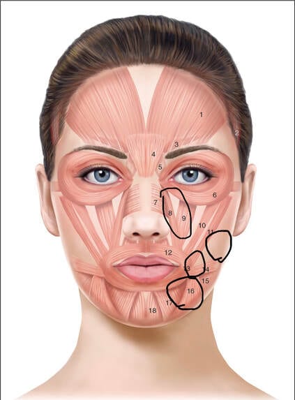 Overcoming Synkinesis: A Guide to Rehabilitation and Hope for Bell’s ...